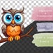 Cute Owls Clipart Bundle Cartoon PNG Images for Digital Download ...