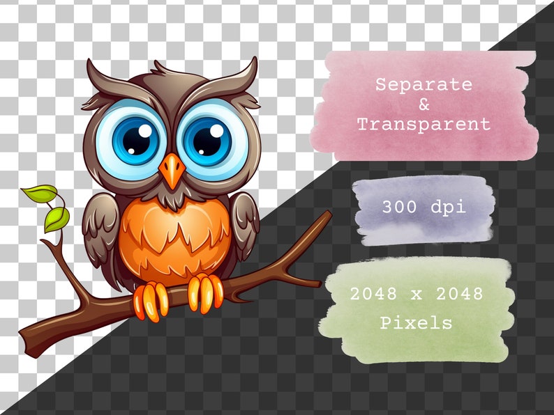 Cute Owls Clipart Bundle Cartoon PNG Images for Digital Download ...
