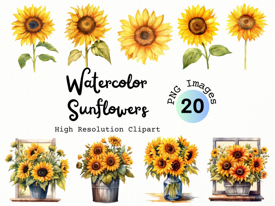 Sunflowers Clipart Watercolor PNG Images | Flowers in Vase | Floral ...