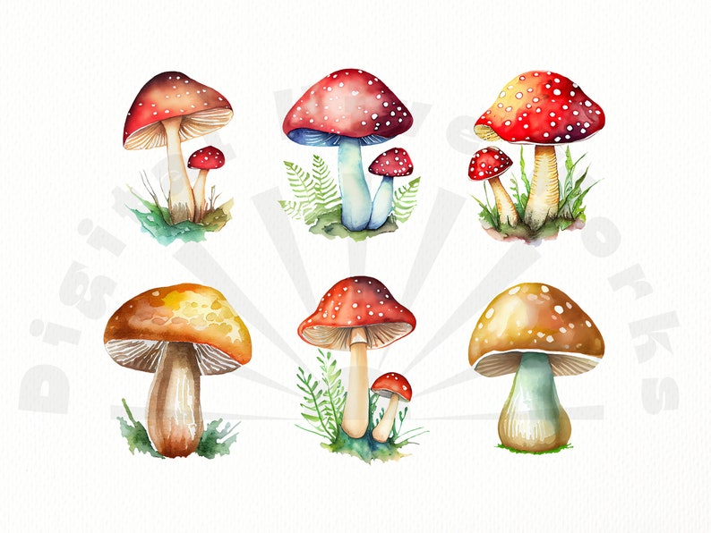 Watercolor Mushrooms Clipart Bundle PNG Format With - Etsy