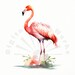 Watercolor Flamingos Clipart 12 PNG Images With Instant Download Pink ...
