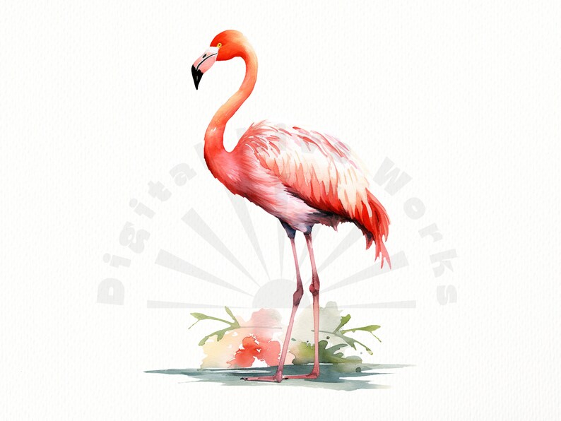 Watercolor Flamingos Clipart 12 PNG Images With Instant Download Pink ...