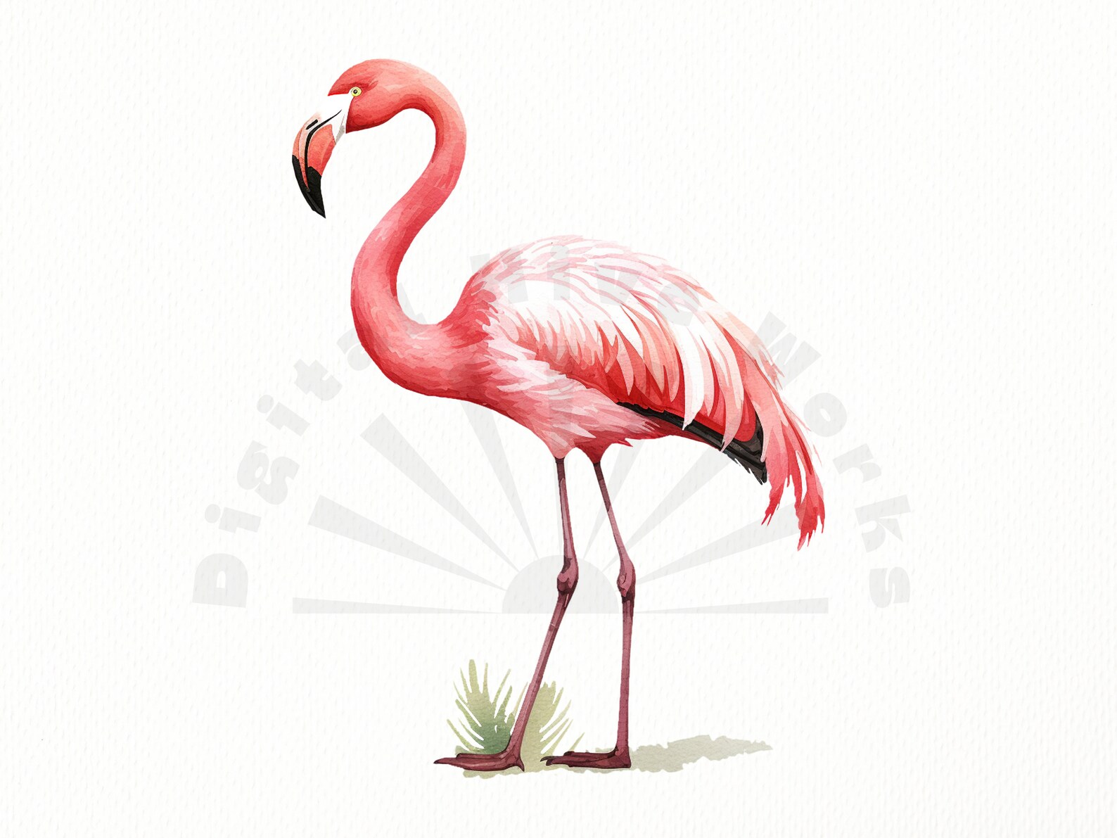 Watercolor Flamingos Clipart 12 PNG Images With Instant Download Pink ...