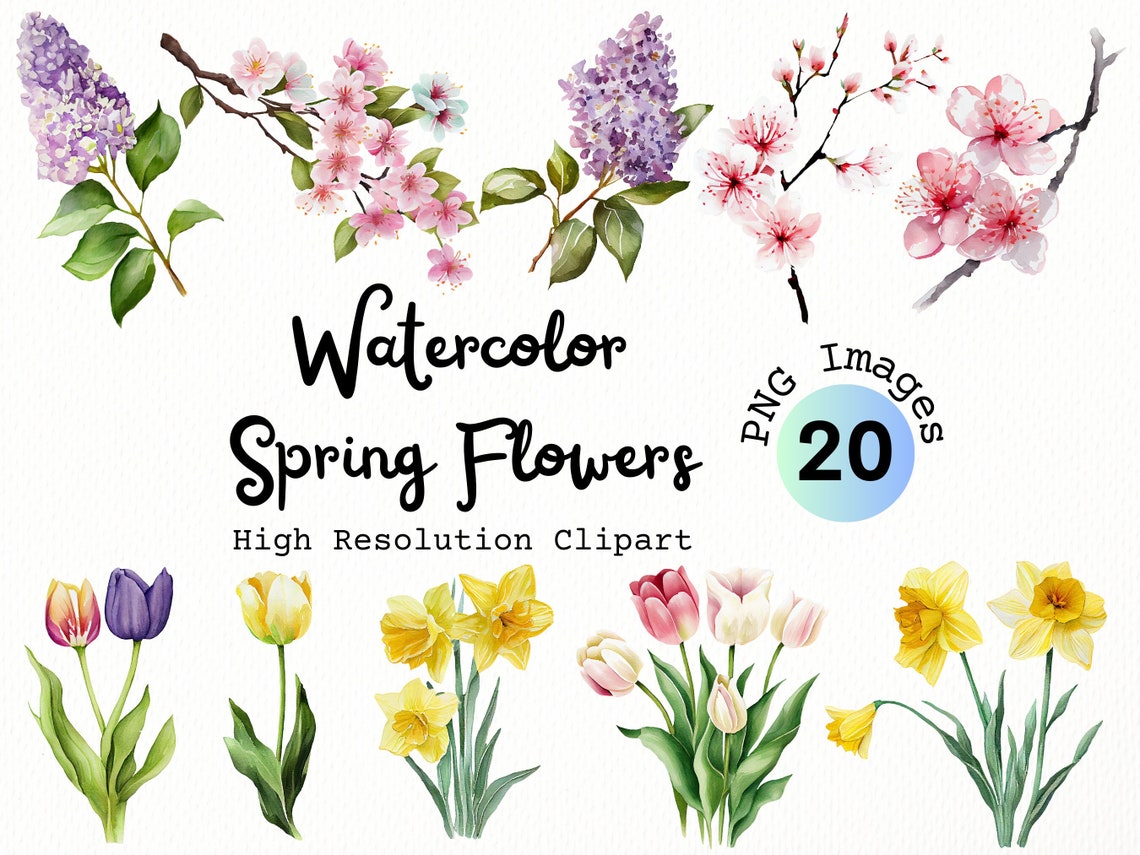 Spring Flowers Clipart Watercolor Clip Art 20 PNG Images Cherry ...