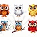Cute Owls Clipart Bundle Cartoon PNG Images for Digital Download ...