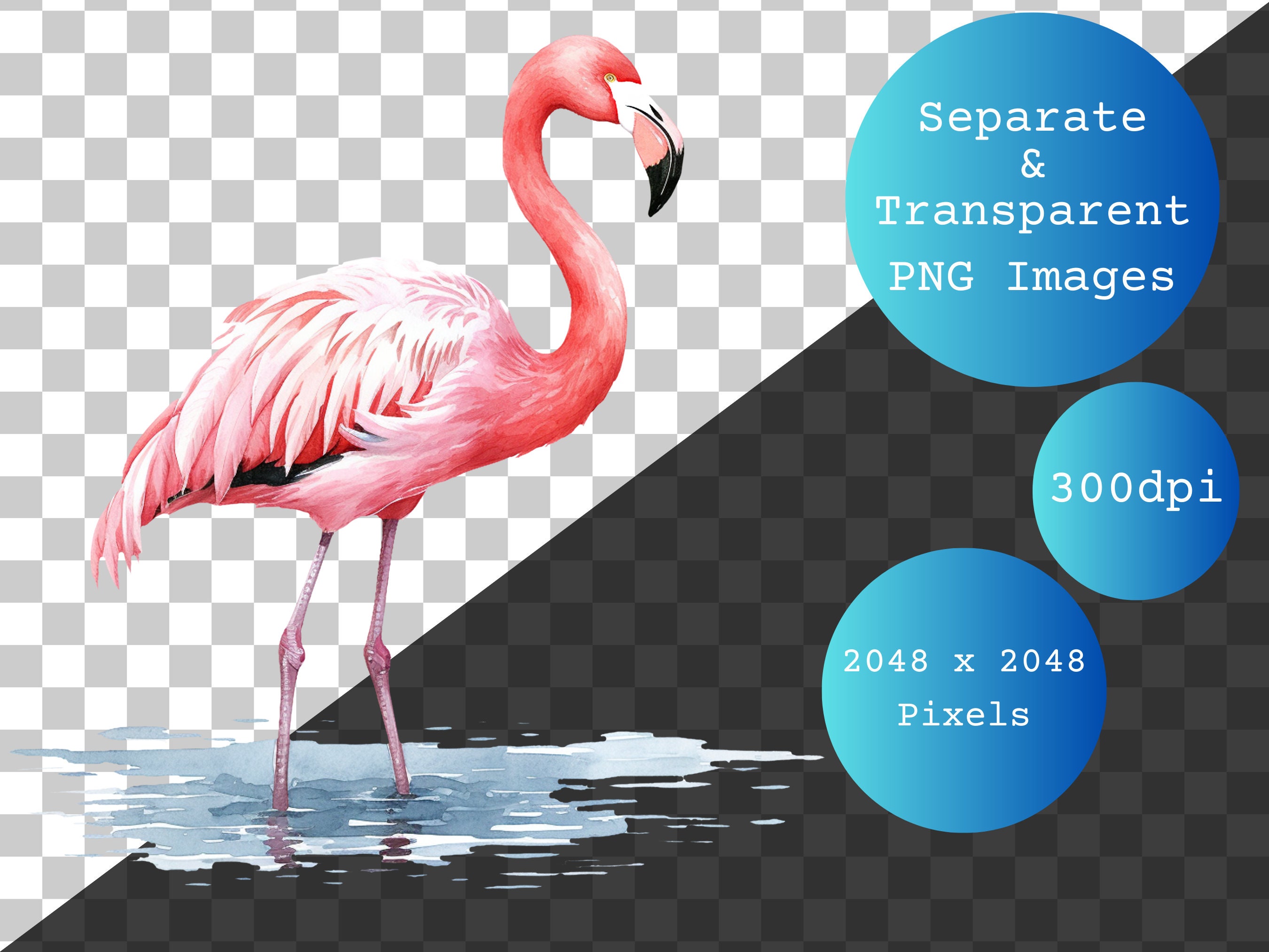 Watercolor Flamingos Clipart 12 PNG Images With Instant Download Pink ...