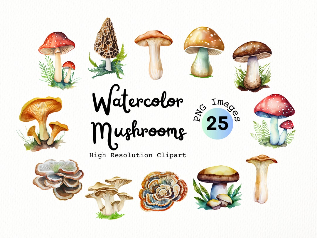 Watercolor Mushrooms Clipart Bundle - PNG Format With Transparent ...