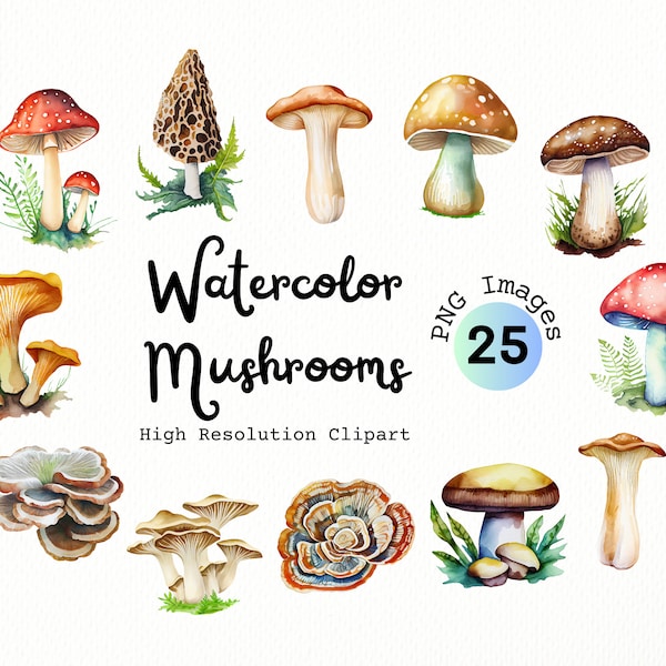 Mushroom Clipart - Etsy