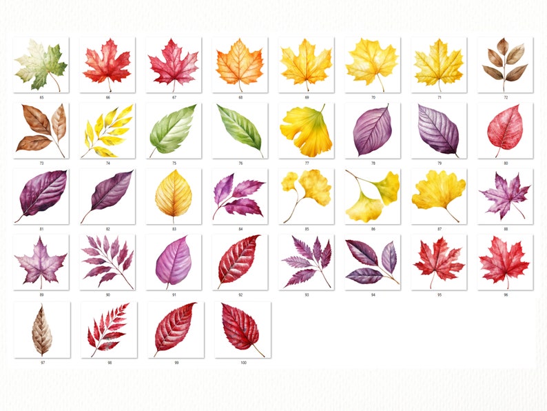 Watercolor Autumn Leaves Clipart Bundle PNG Format With Transparent ...