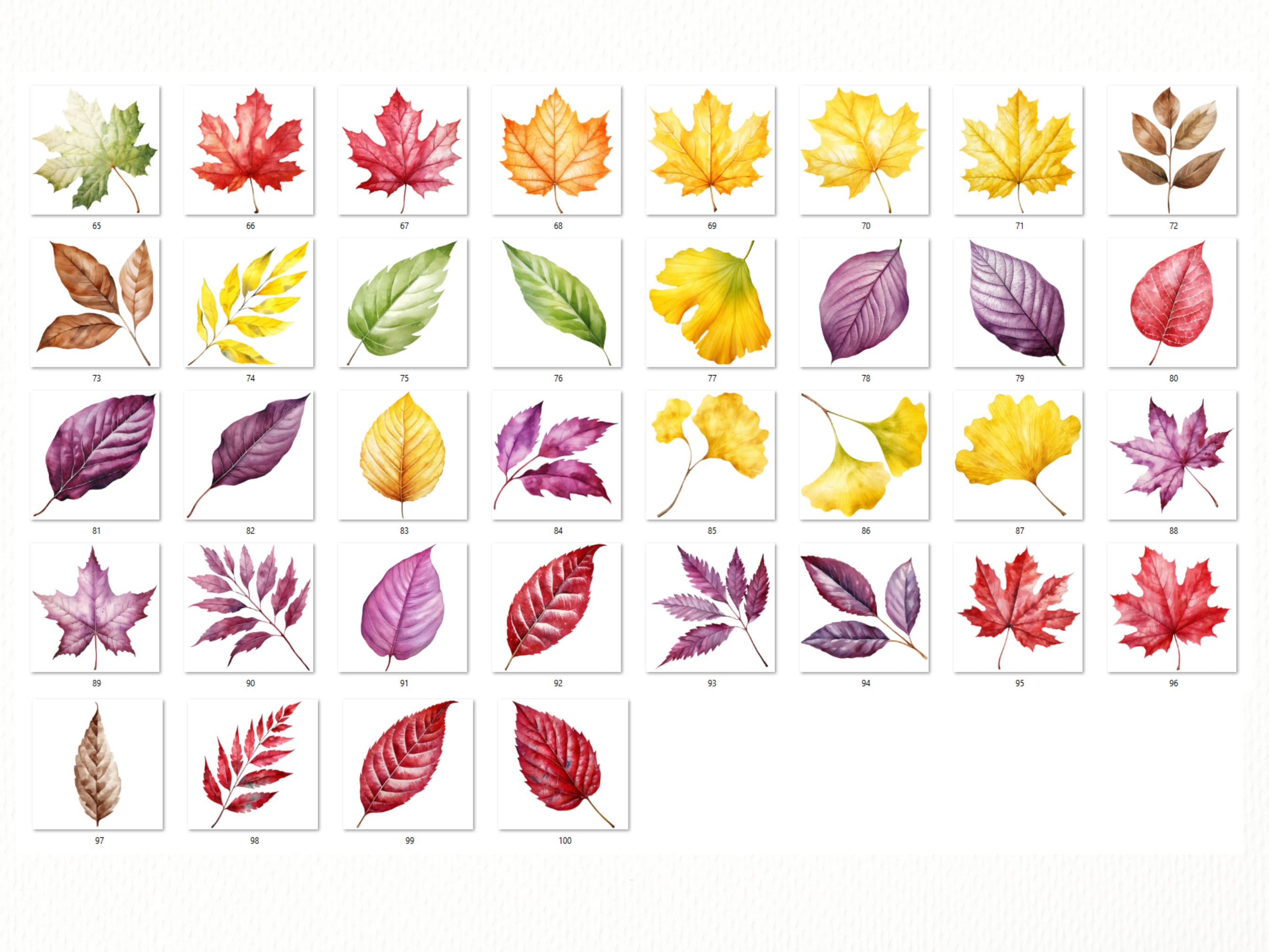 Watercolor Autumn Leaves Clipart Bundle PNG Format With Transparent ...