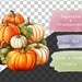 Watercolor Pumpkins Clipart | Autumn Watercolor PNG Images | Fall ...