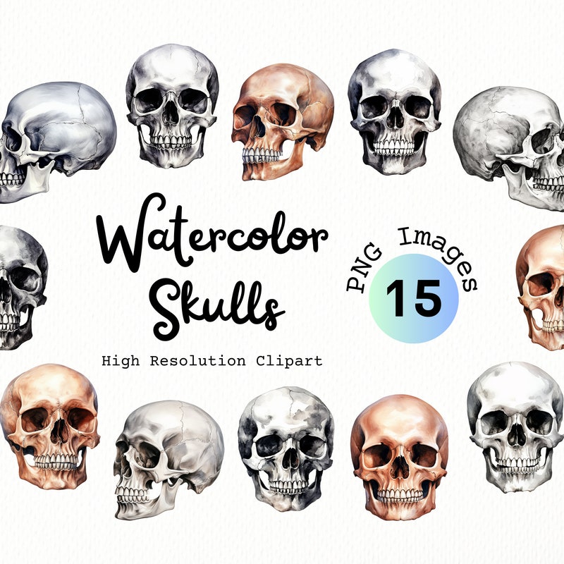 Watercolor Skull Clipart - Etsy