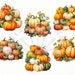 Watercolor Pumpkins Clipart | Autumn Watercolor PNG Images | Fall ...