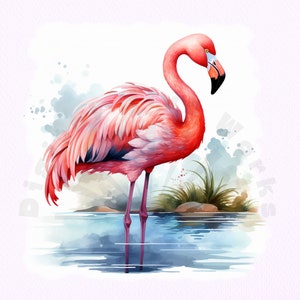 Watercolor Flamingos Clipart | 12 PNG Images With Instant Download ...