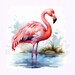 Watercolor Flamingos Clipart | 12 PNG Images With Instant Download ...