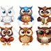 Cute Owls Clipart Bundle Cartoon PNG Images for Digital Download ...