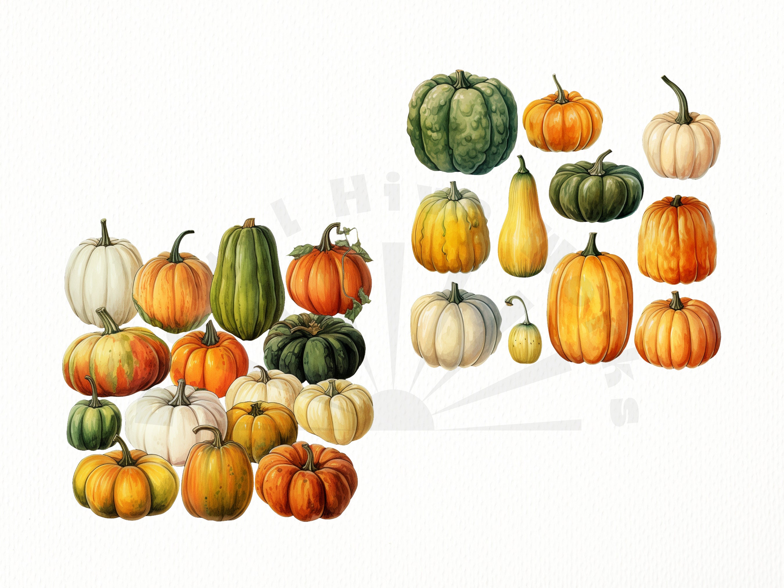 Watercolor Pumpkins Clipart Autumn Watercolor PNG Images Fall Clipart ...