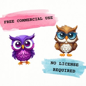 Cute Owls Clipart Bundle Cartoon PNG Images for Digital Download ...