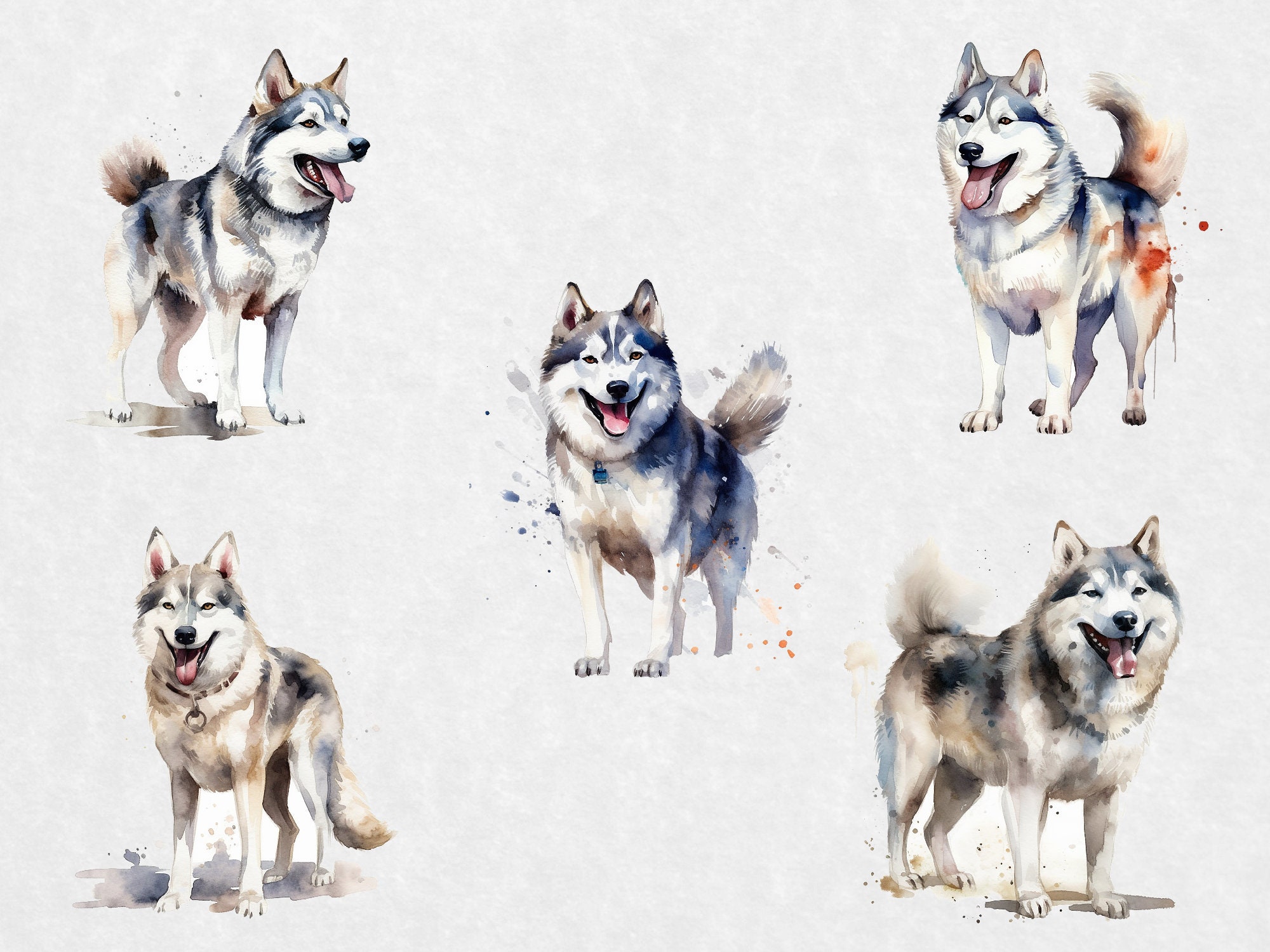 Watercolor Siberian Husky Clipart Colorful Cute Dog PNG Digital Image ...