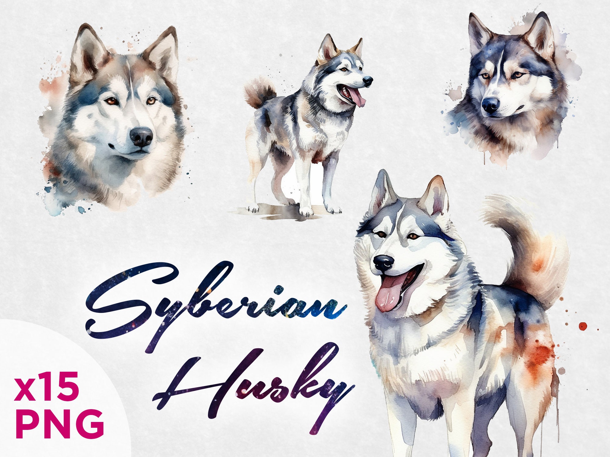 Watercolor Siberian Husky Clipart Colorful Cute Dog PNG Digital Image ...
