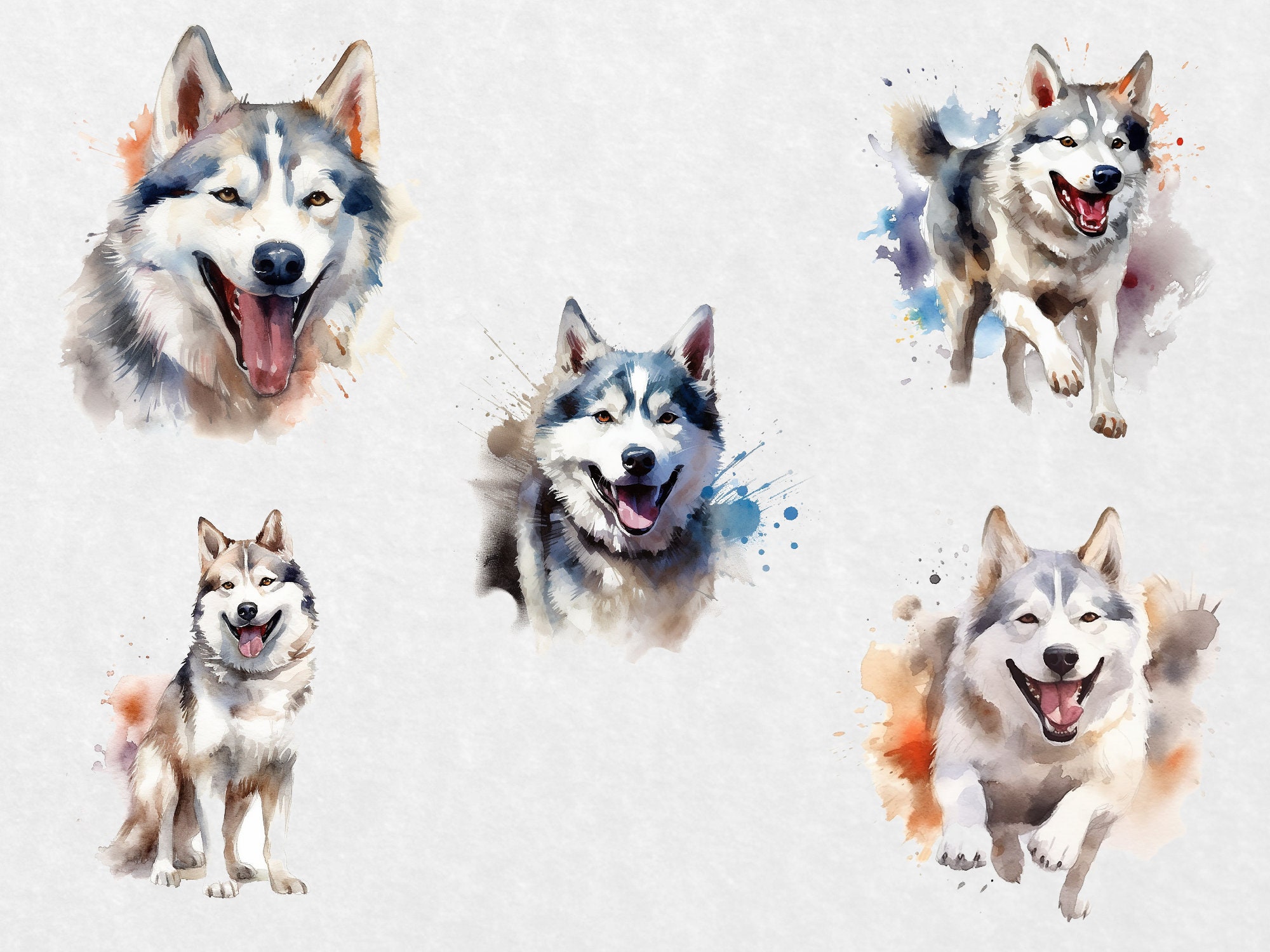 Watercolor Siberian Husky Clipart Colorful Cute Dog PNG Digital Image ...
