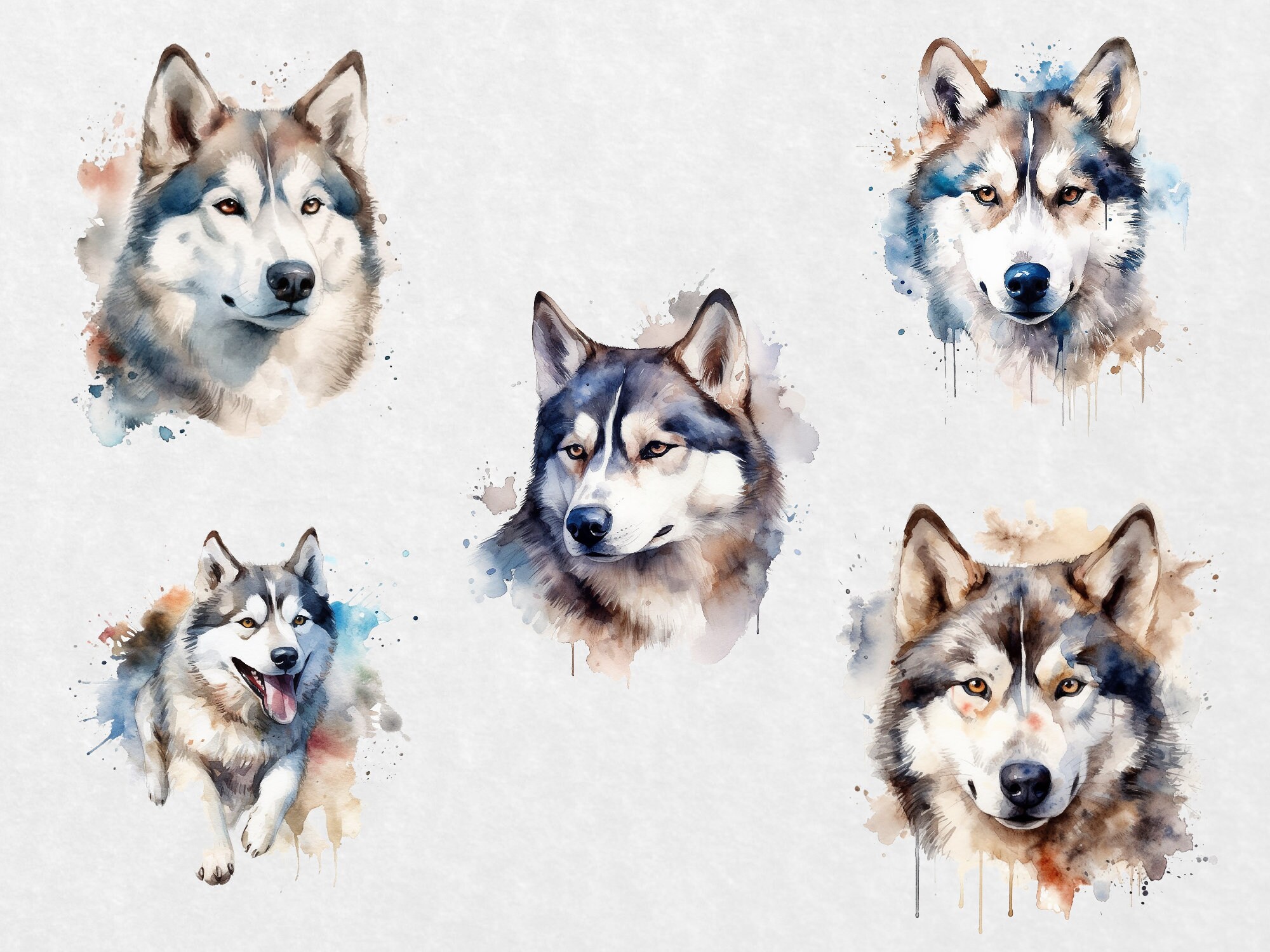 Watercolor Siberian Husky Clipart Colorful Cute Dog PNG Digital Image ...