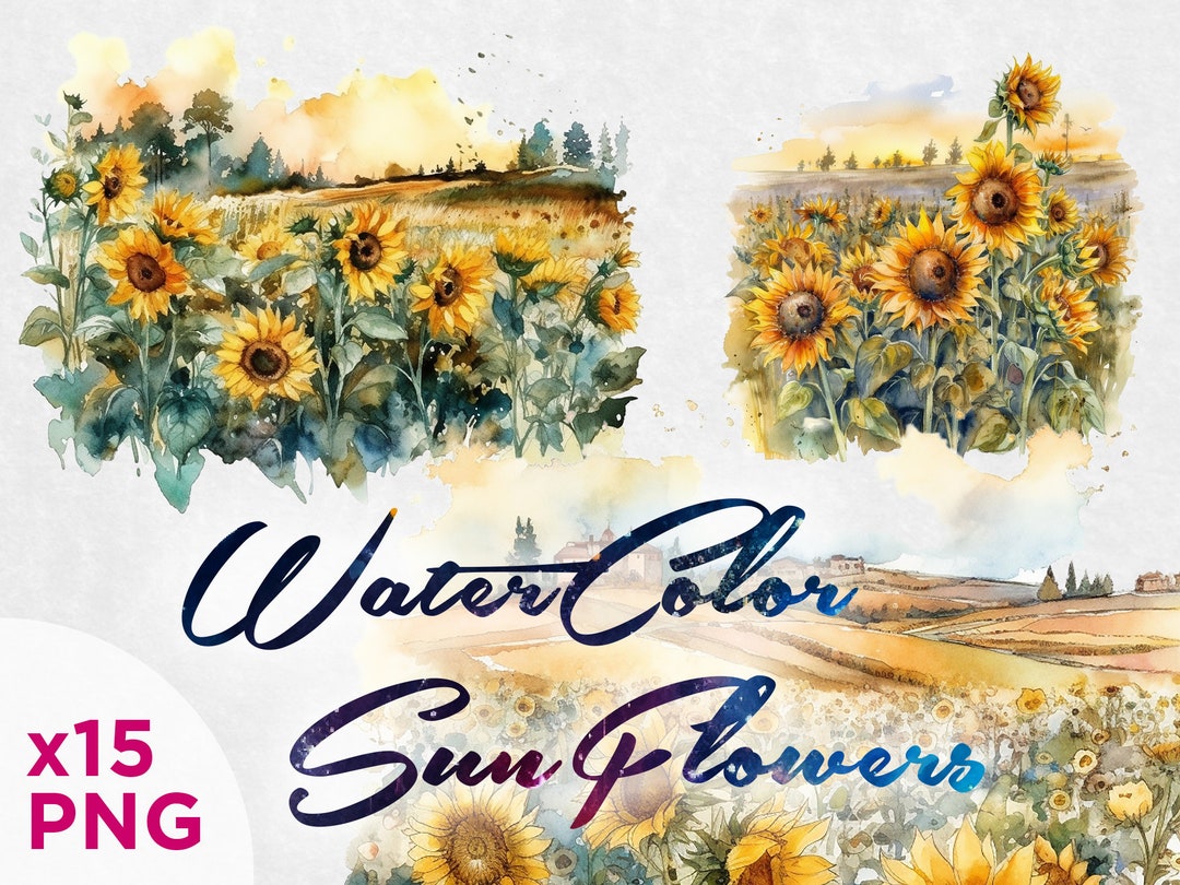 Watercolor Sunflowers Clipart Sunflower Floral Bouquets PNG Digital ...