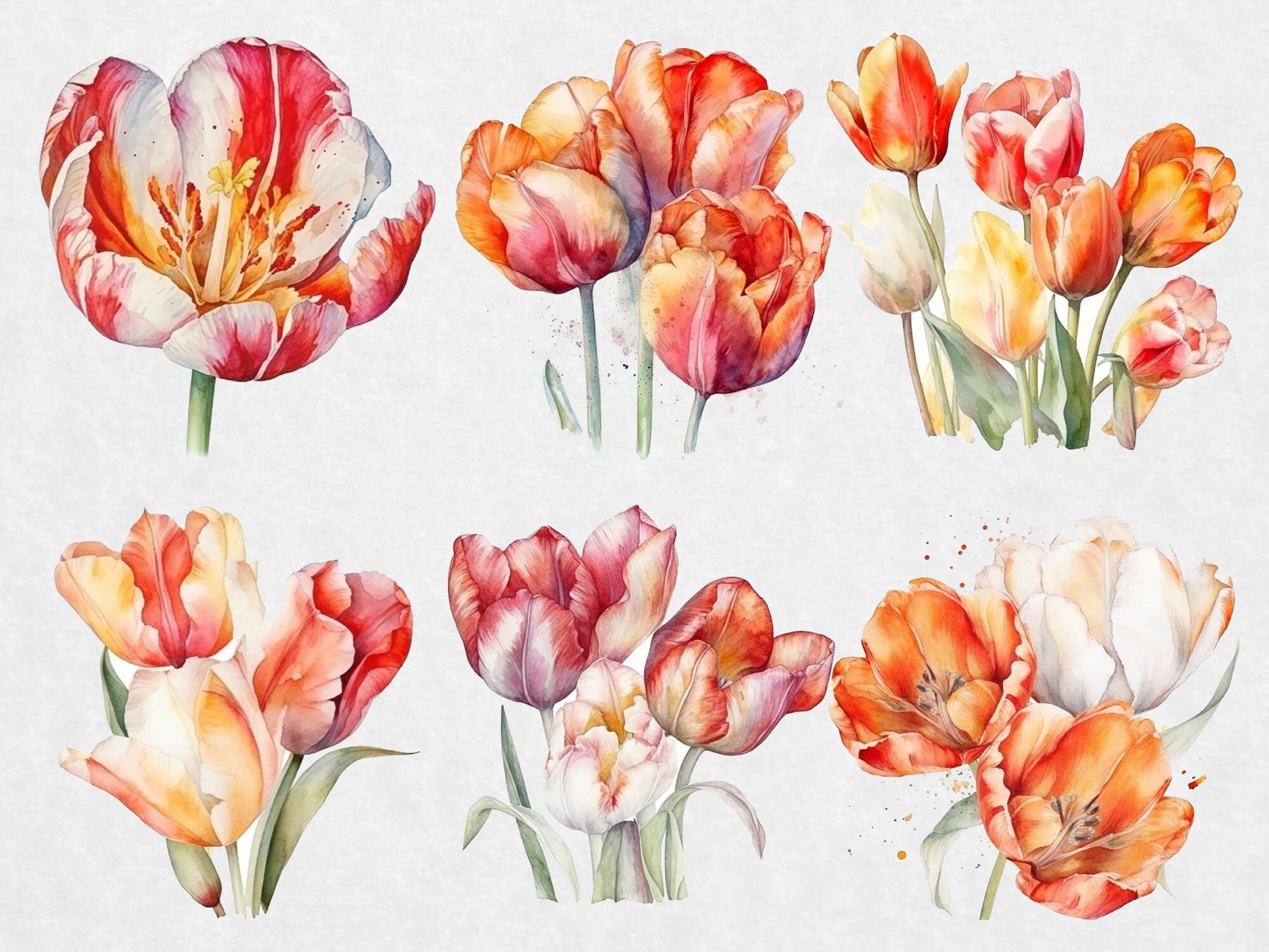 Watercolor Tulip Flowers Clipart Tulip Floral Bouquets PNG Digital ...