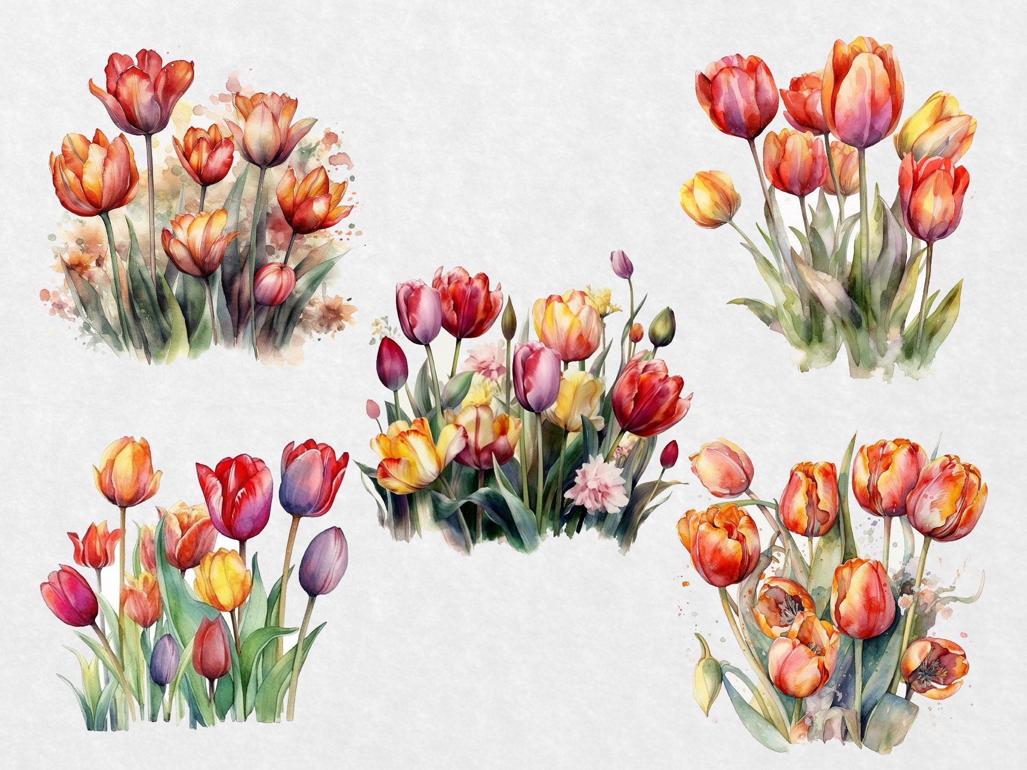 Watercolor Tulip Flowers Clipart Tulip Floral Bouquets PNG Digital ...