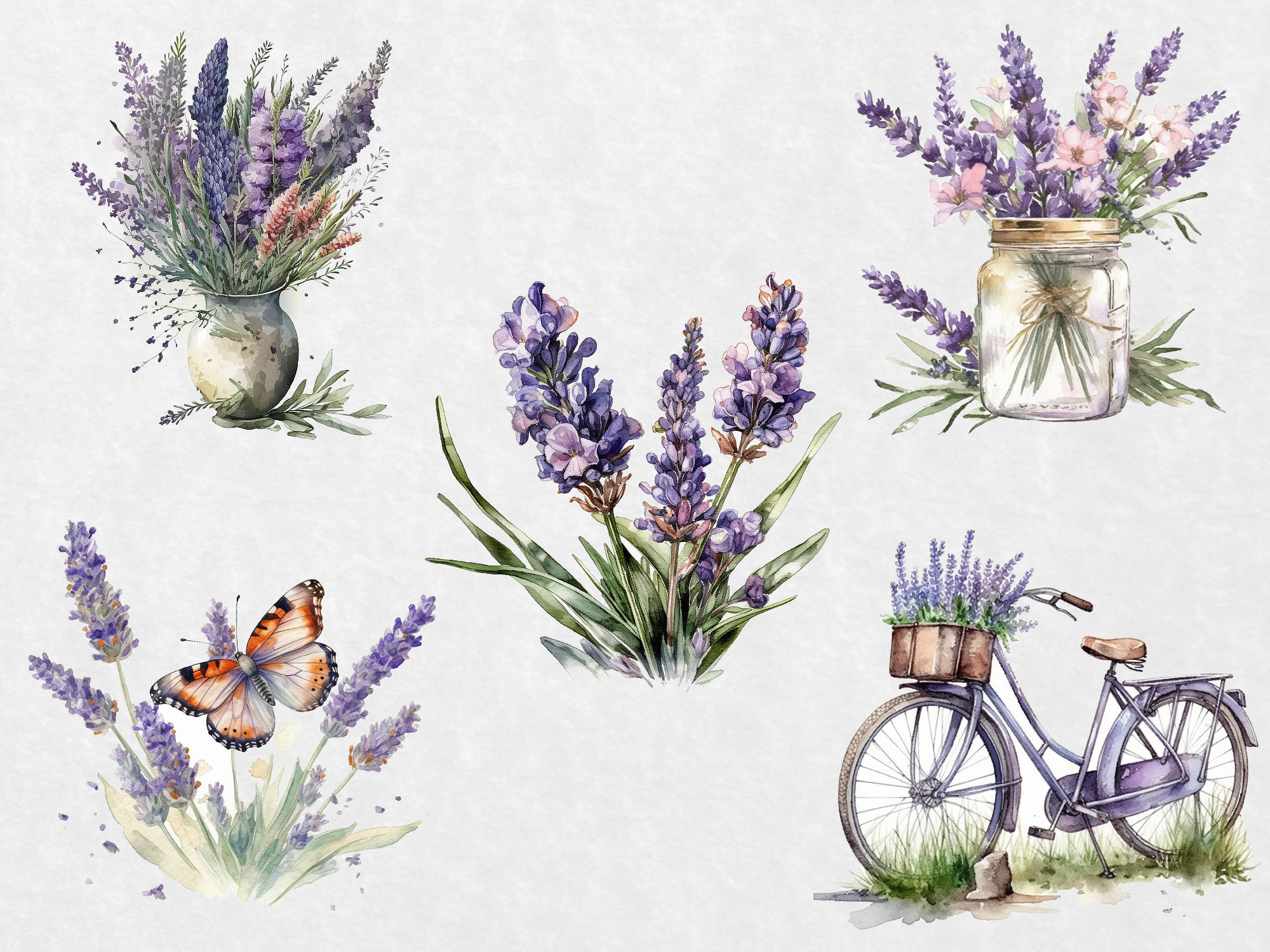 Watercolor Lavender Provence Clipart Spring Floral Boho PNG Digital ...