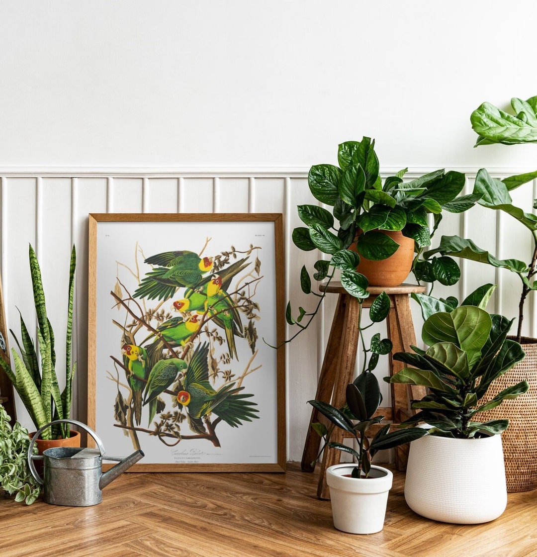 Green Birds Poster, Tropical Painting, Bird Painting, HIGH QUALITY ...