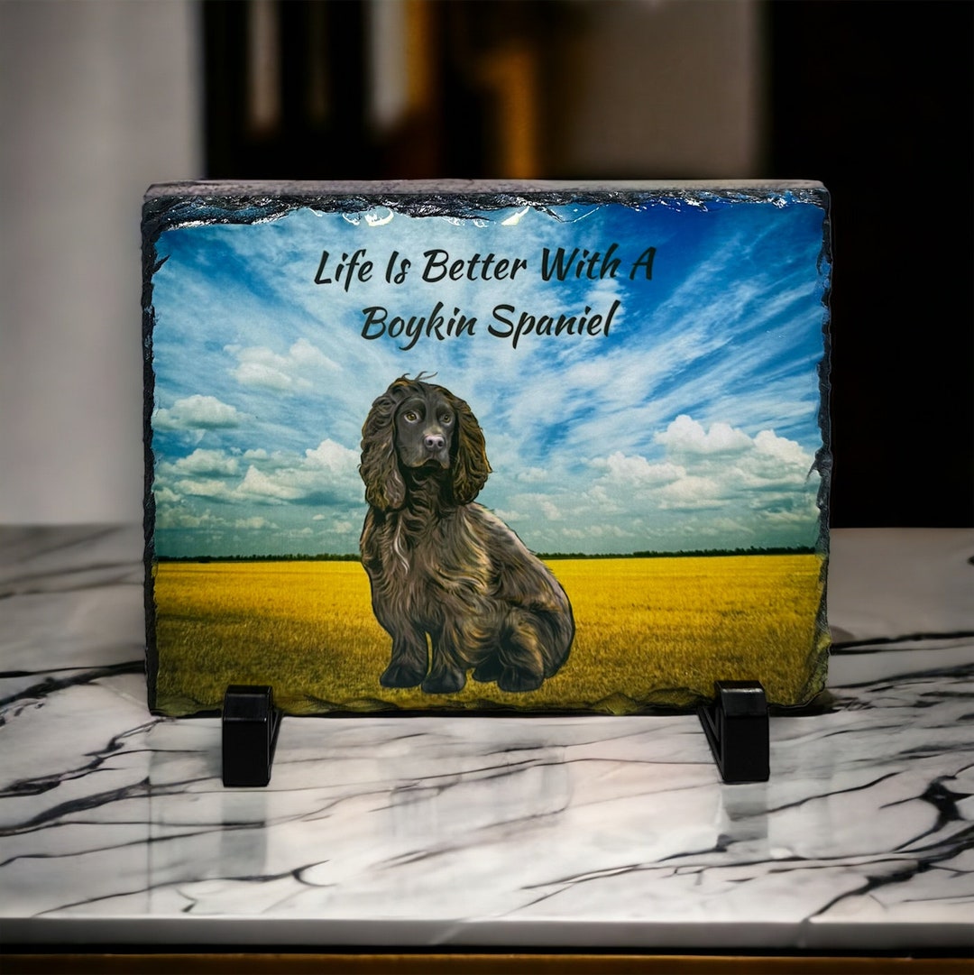 Boykin Spaniel Picture Slate/boykin Spaniel Gifts/boykin Spaniel Decor ...