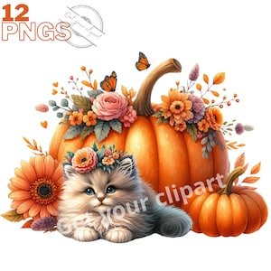 Fall Floral Pumpkin Clipart Bundle, Floral Pumpkin Png, Hello Fall ...