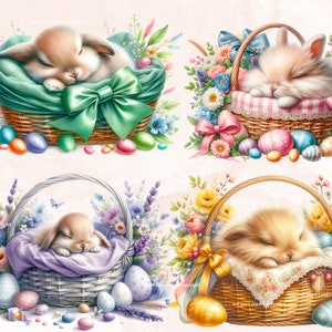 Easter Bunny in a Basket Clipart Bundle, Easter Clipart, Easter ...