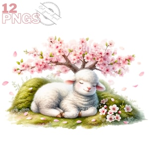 Spring Lamb Clipart Bundle, Easter Lamb Png Graphics, Easter ...