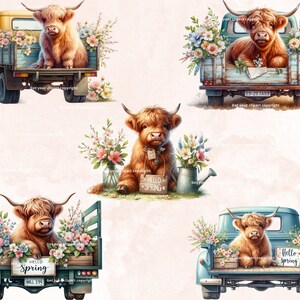 Spring Highland Cow Clipart Bundle, Printable Spring Graphics, Highland ...