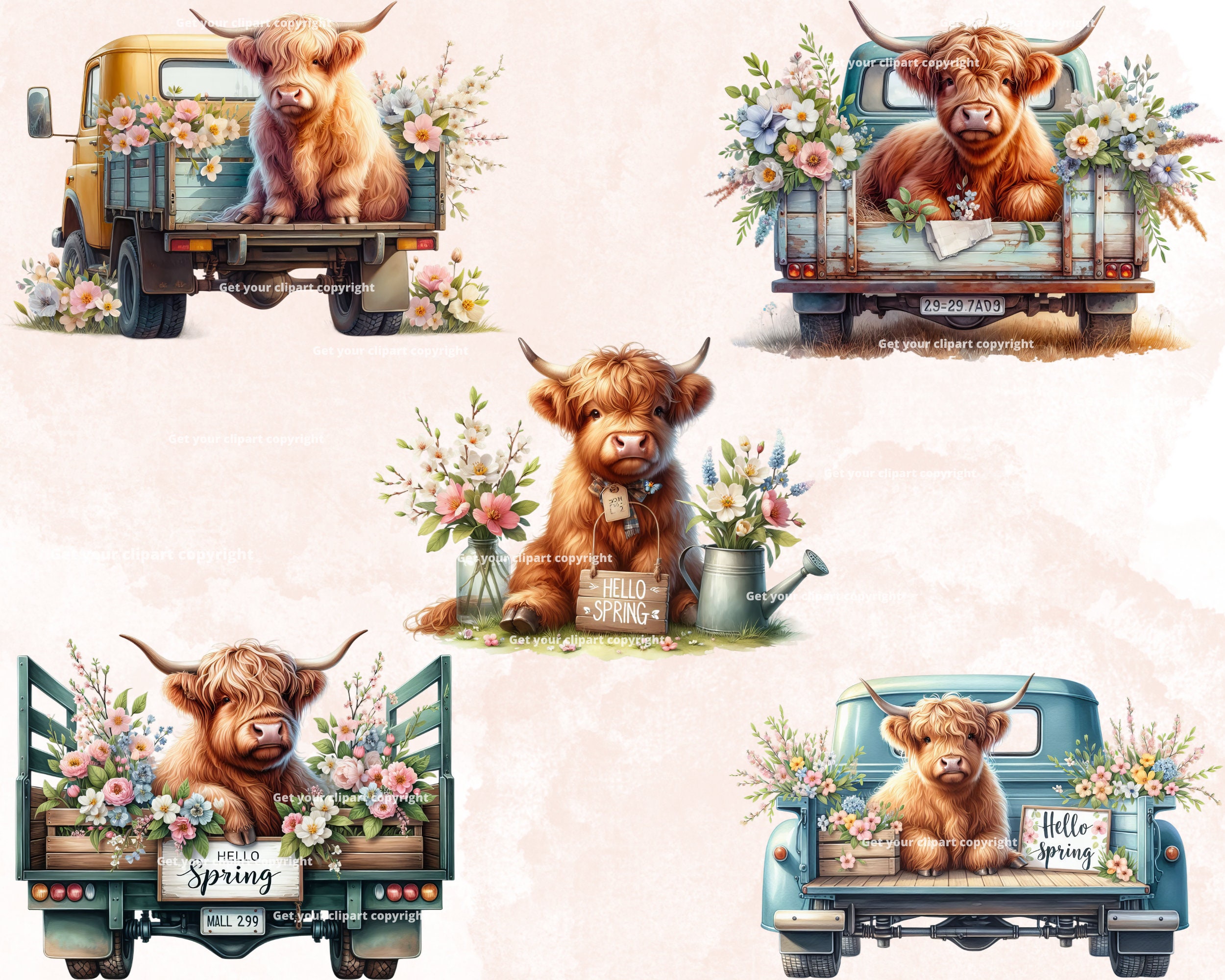 Spring Highland Cow Clipart Bundle, Printable Spring Graphics, Highland ...