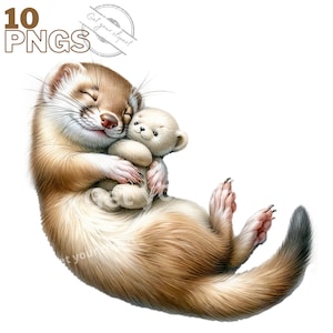 Sleepy Cute Weasel Clipart Bundle, Weasel Clipart Bundle, Set of 10 ...