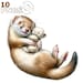 Sleepy Cute Weasel Clipart Bundle, Weasel Clipart Bundle, Set of 10 ...