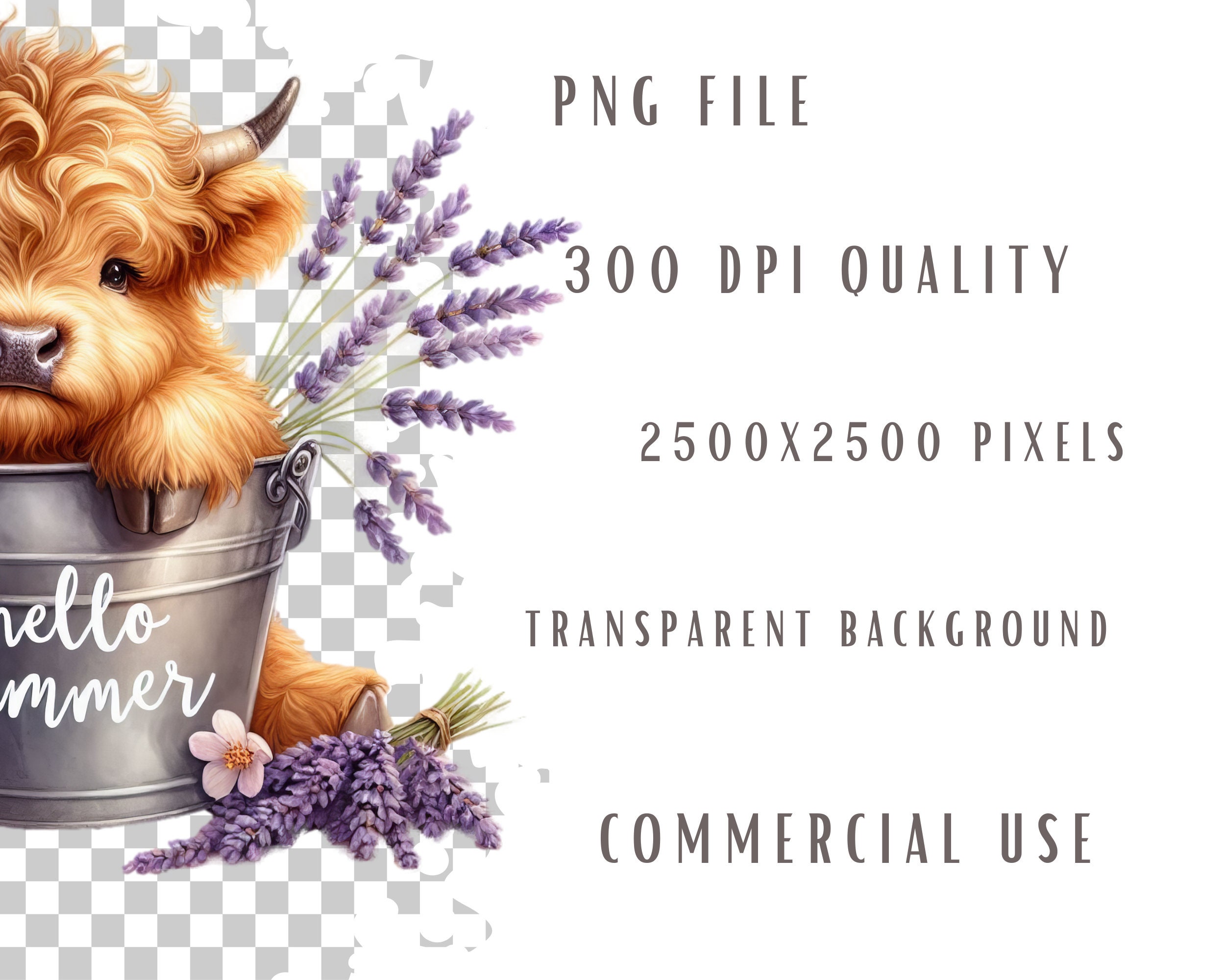 Baby Highland Cow Clipart Bundle, Highland Cow Clipart, Highland Cow ...