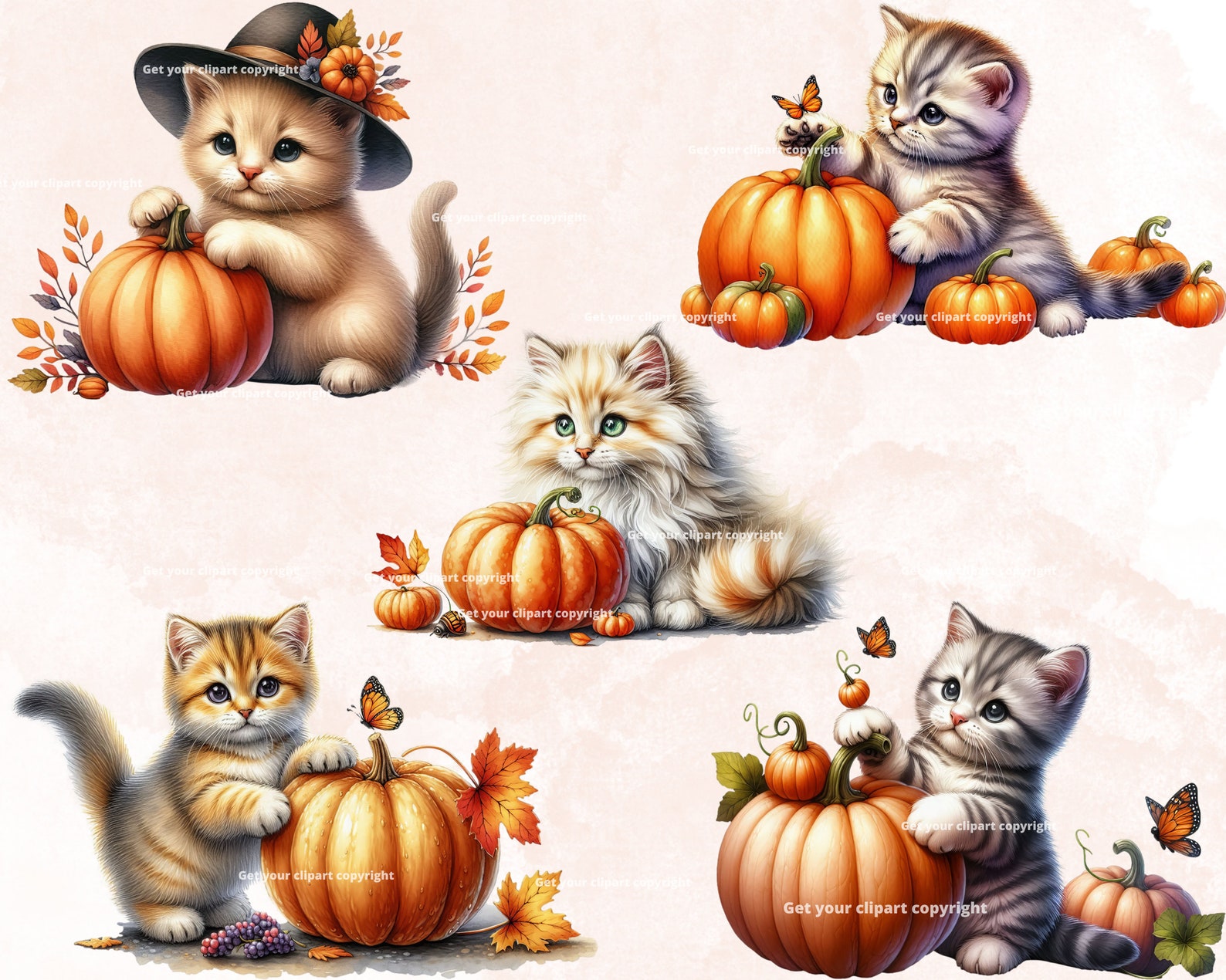 Autumn Kitten Clipart Bundle, Autumn Clipart, Fall Png Graphics, Autumn ...