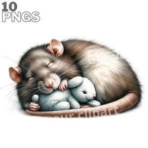 Sleepy Cute Rat Clipart Bundle, Rat Clipart Bundle, Set of 10 ...