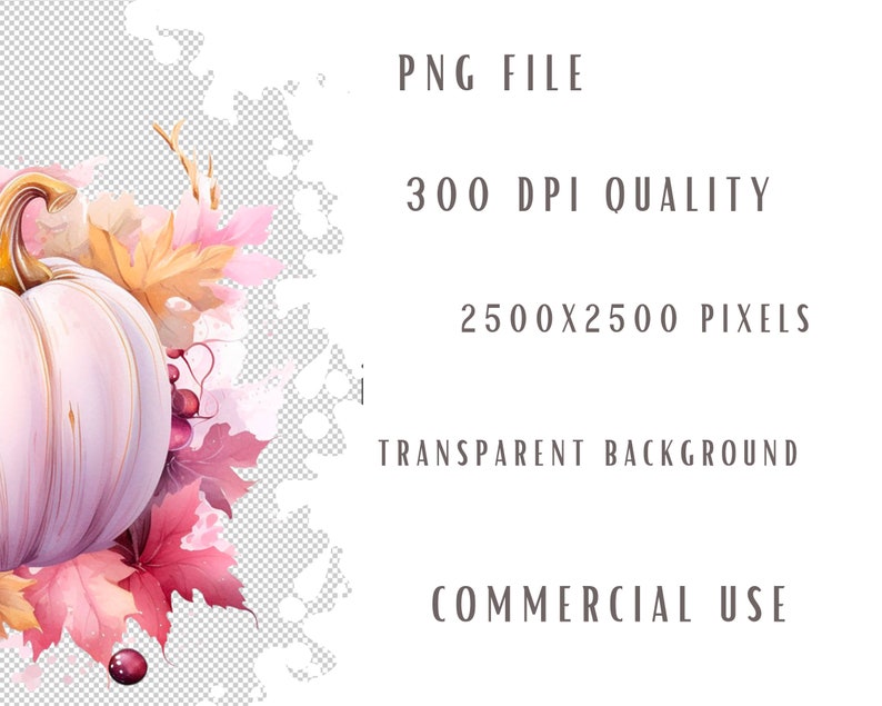 Pink Pumpkin Clipart Bundle, Floral Pumpkin Graphics, Thanksgiving ...