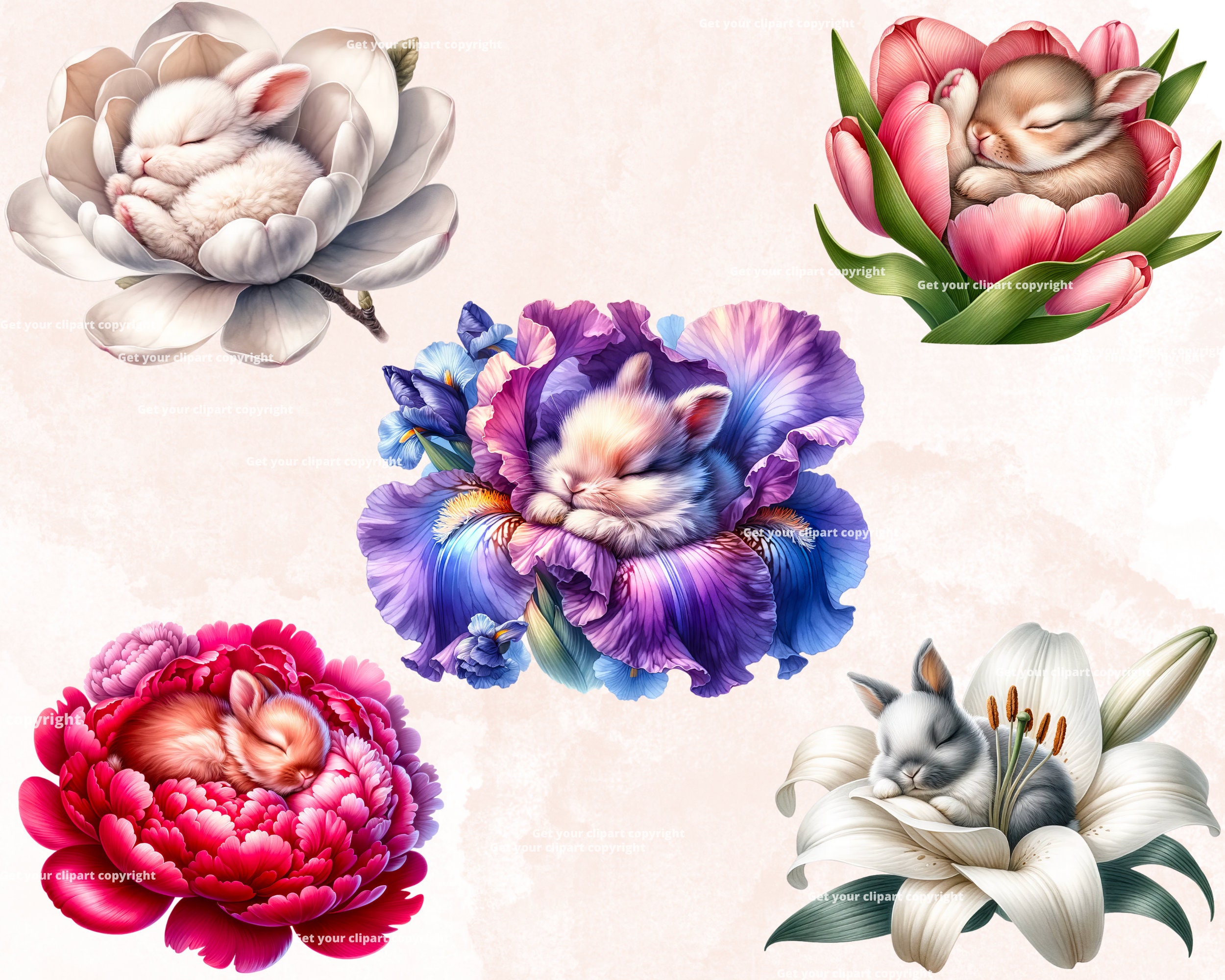 Bunny and Flowers Clipart Bundle, Bunny Nursery Print, Watercolor Bunny ...