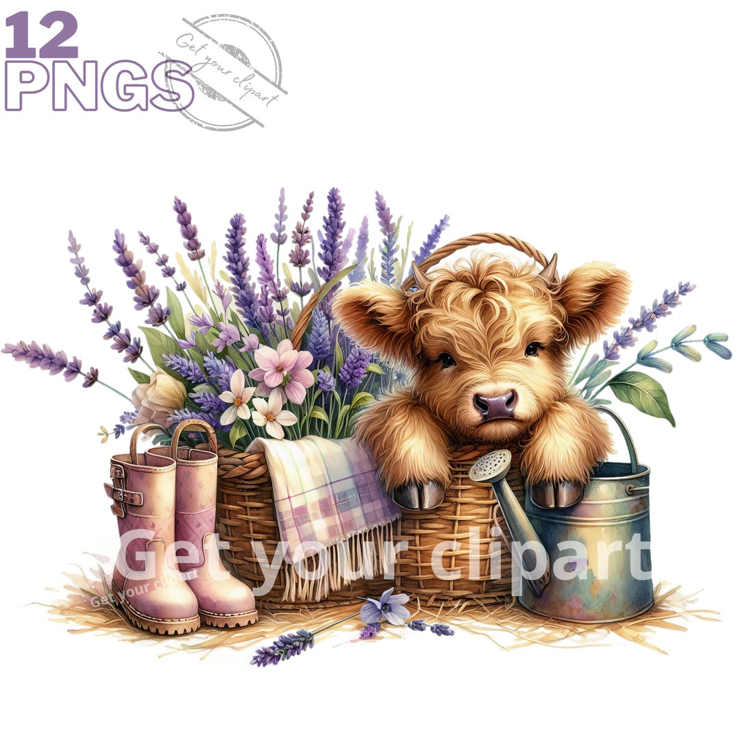 Baby Highland Cow Clipart Bundle, Highland Cow Clipart, Highland Cow ...