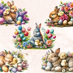 Easter Bunny and Chick Clipart Bundle, Easter Clipart, Easter Graphics ...