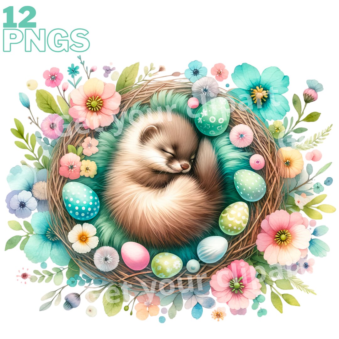 Cute Weasel in a Nest Clipart Bundle, Easter Clipart, Spring Graphics ...