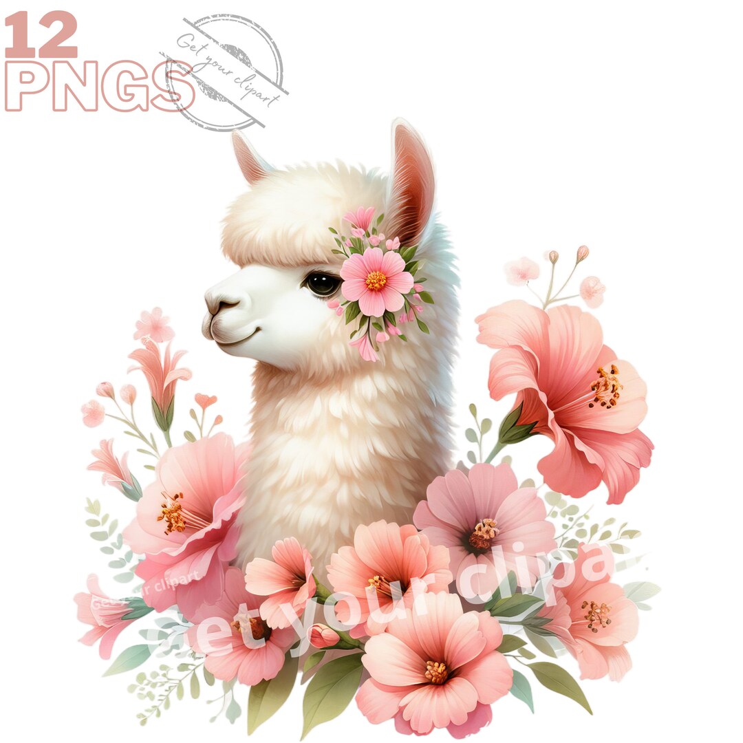Cute Alpaca Clipart Bundle, Alpaca Png, Watercolor Alpaca Graphics ...