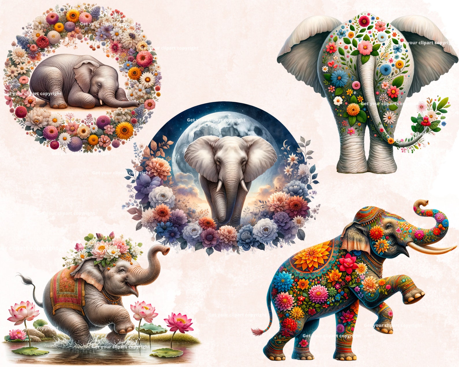 Elephant and Flowers Cliparts Bundle, Safari Animal Png Files, Jungle ...