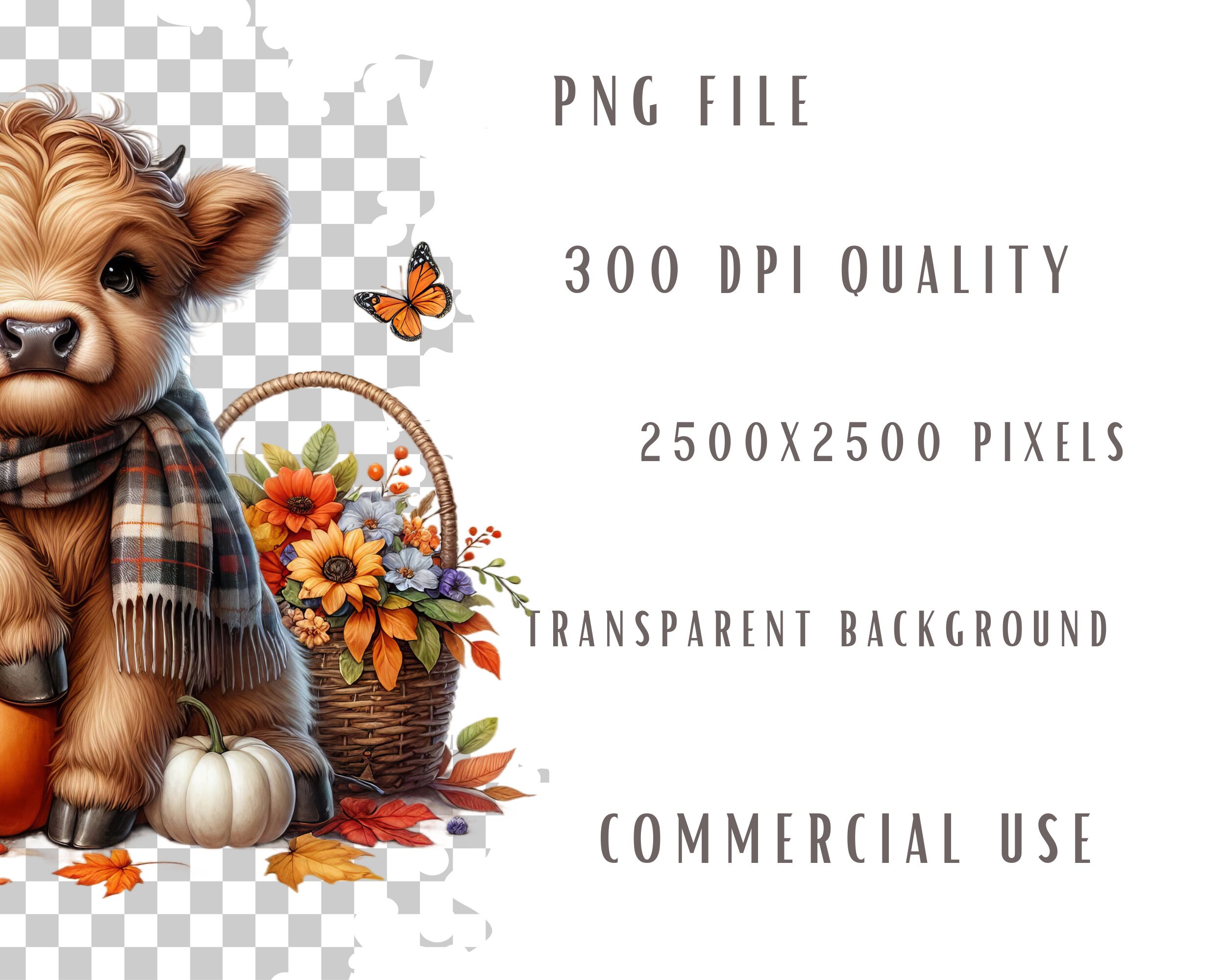 Baby Highland Cow Clipart Bundle, Highland Cow Clipart, Highland Cow ...